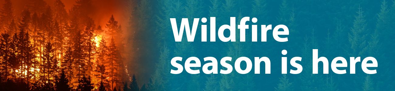 Division of Financial Regulation : Wildfires : Storm damage : State of ...